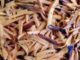 7 Solid Health Benefits of African Oil Bean Seed (Ukpaka or Ugba ...