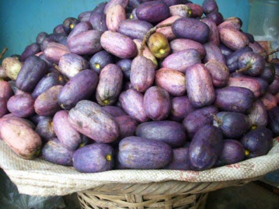 5 Powerful Health Benefits of African Pear Leaves - Health Guide NG